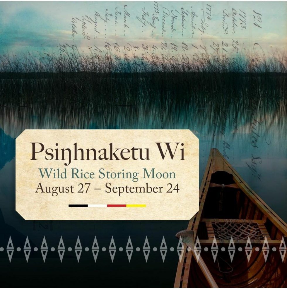 Wild Rice Festival Shines with the Wild Rice Storing Moon - Roseville ...